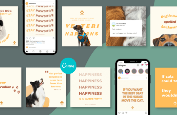 50+ Engagement-Boosting Posts For Vets | VetVox Marketing