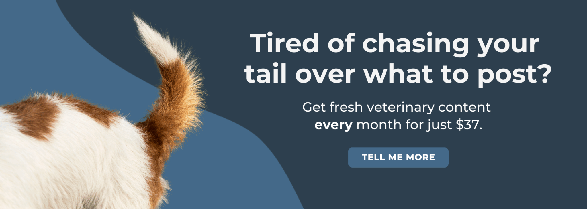 120+ Veterinary Social Media PostS & Ideas [+ Templates]