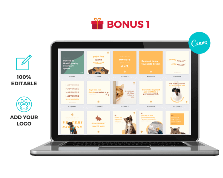 365 Days Of Post Ideas For Vets (2024 Edition) | VetVox Marketing
