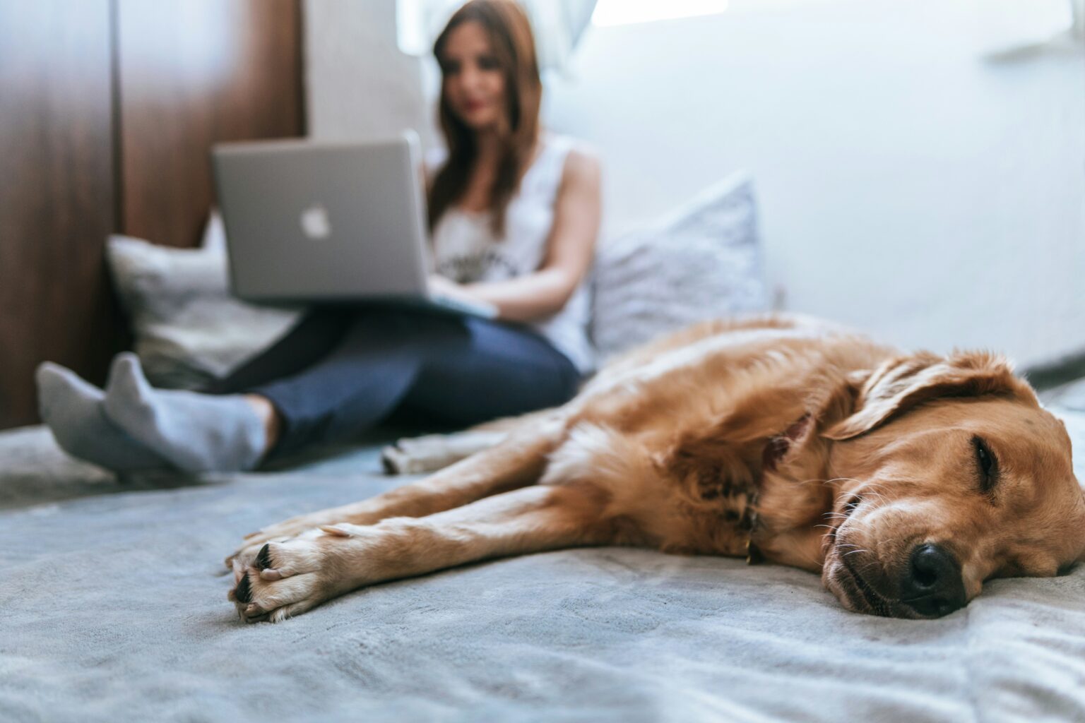 Veterinary Google Ads Marketing: A Step-by-Step Guide