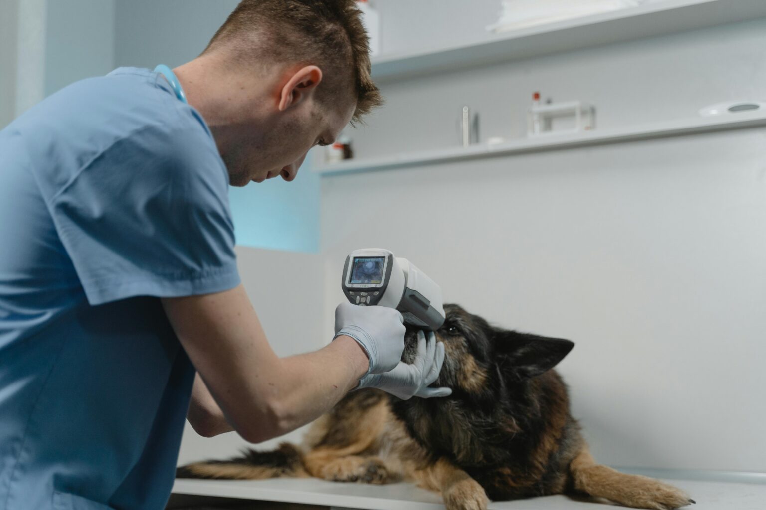 7 Vet Tech Week Social Media Posts Ideas (With Examples)